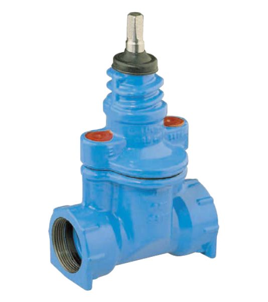 Hale Valve