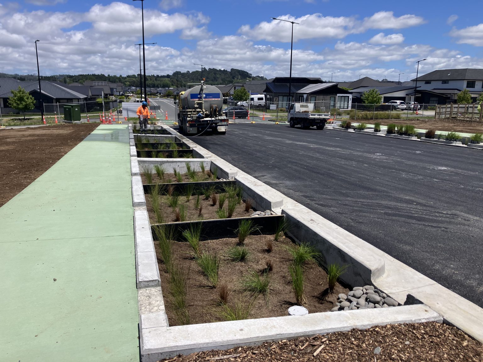 Enhancing Stormwater Management with Rain Gardens | Hynds NZ